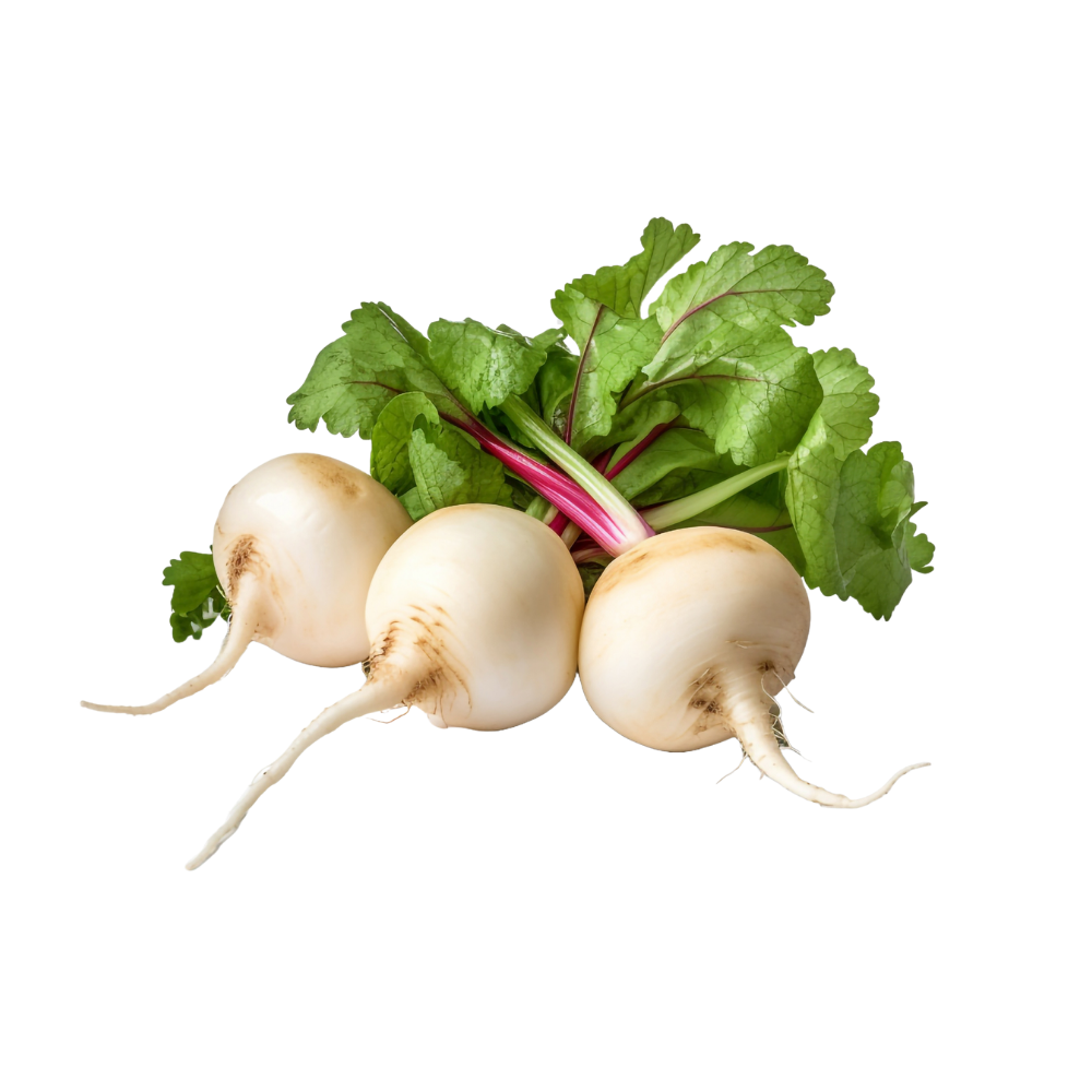 Beyaz Turp 1kg - Germencik Organik Pazar